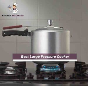 10 Best Large Pressure Cooker (Reviews & Buying Guide)